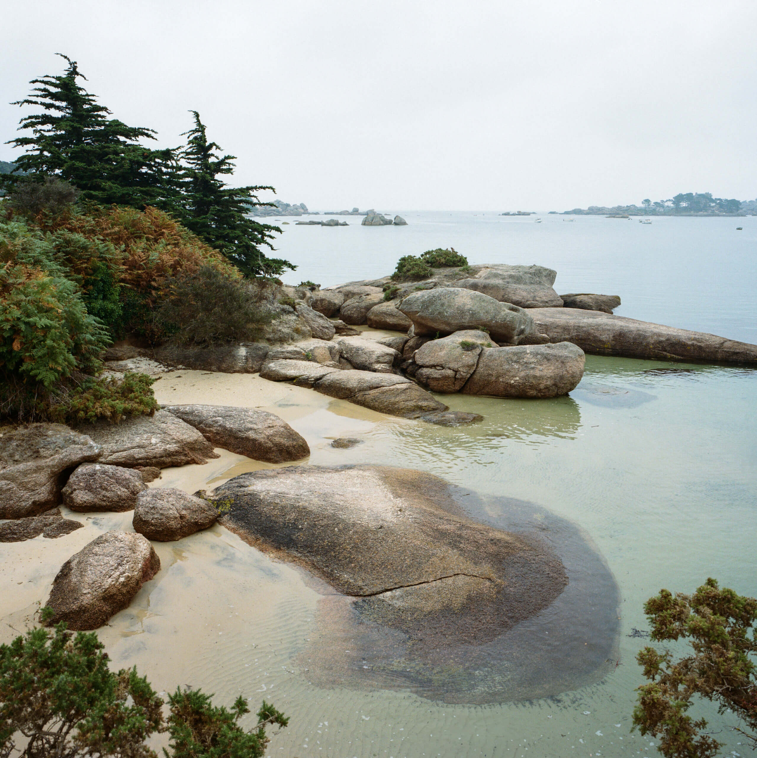 France 2025 – micmojo photography